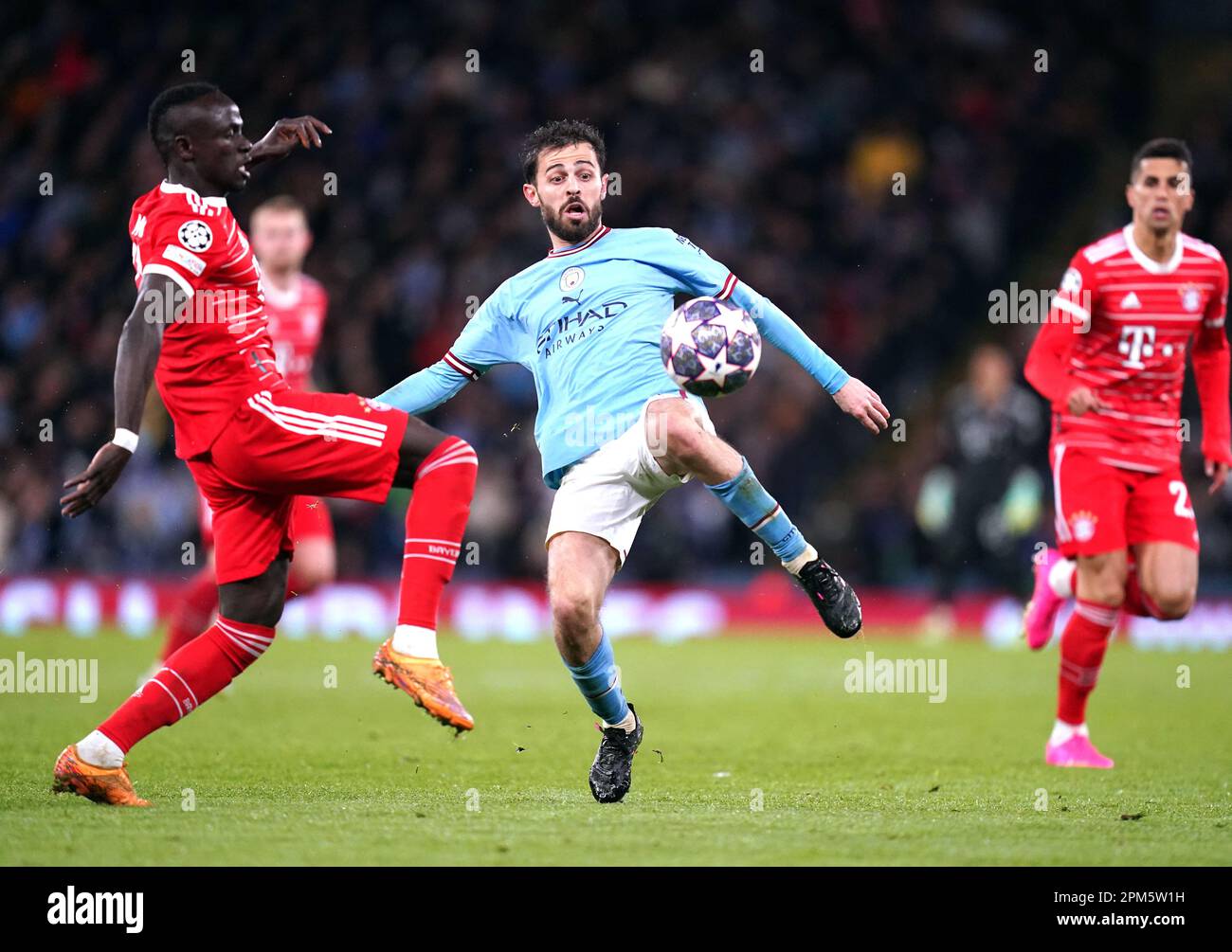 Mane 2023 hi-res stock photography and images - Alamy