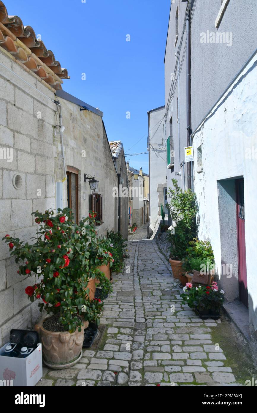 A narrow street among the old houses of Guardialfiera, a historic town ...