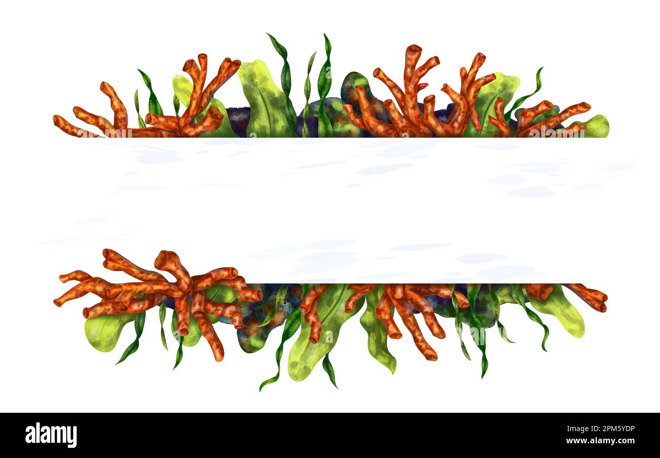 Horizontal marine frame made of tropical fish, corals, algae, stones ...