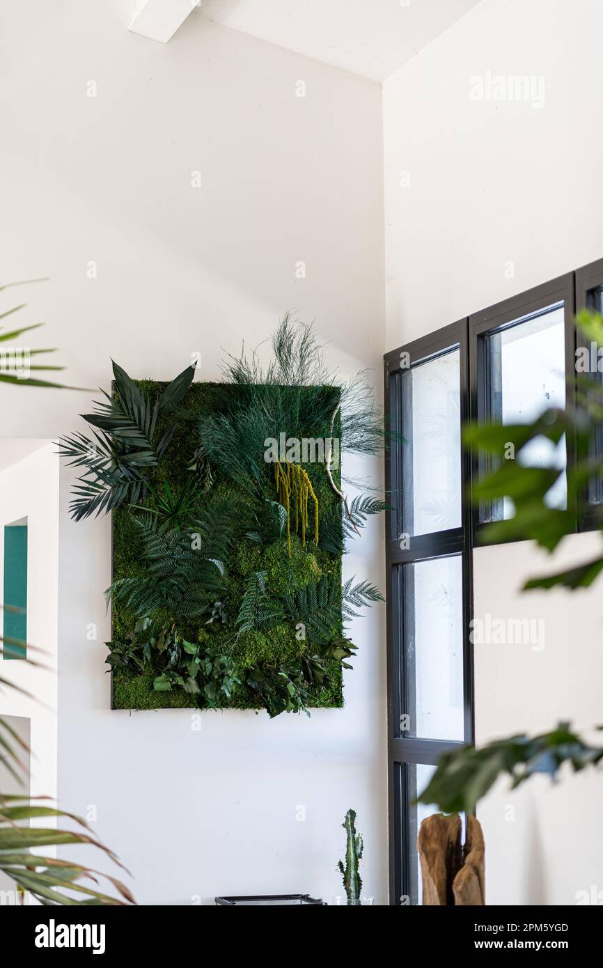 eco friendly green plant-based wall decorations. kit stabilized plant ...