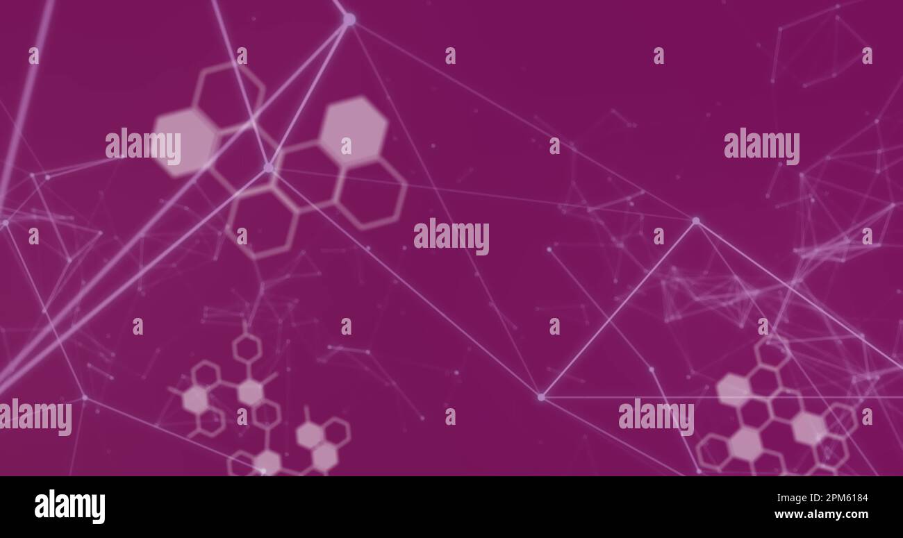 Composition of network of connections on purple background Stock Photo ...