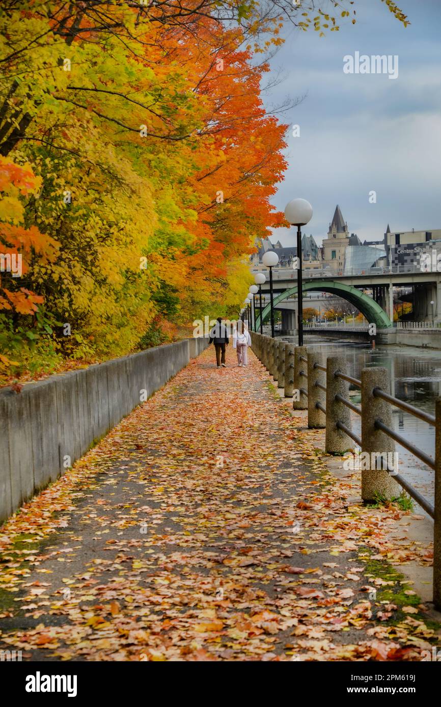 Fall in Ottawa Stock Photo - Alamy