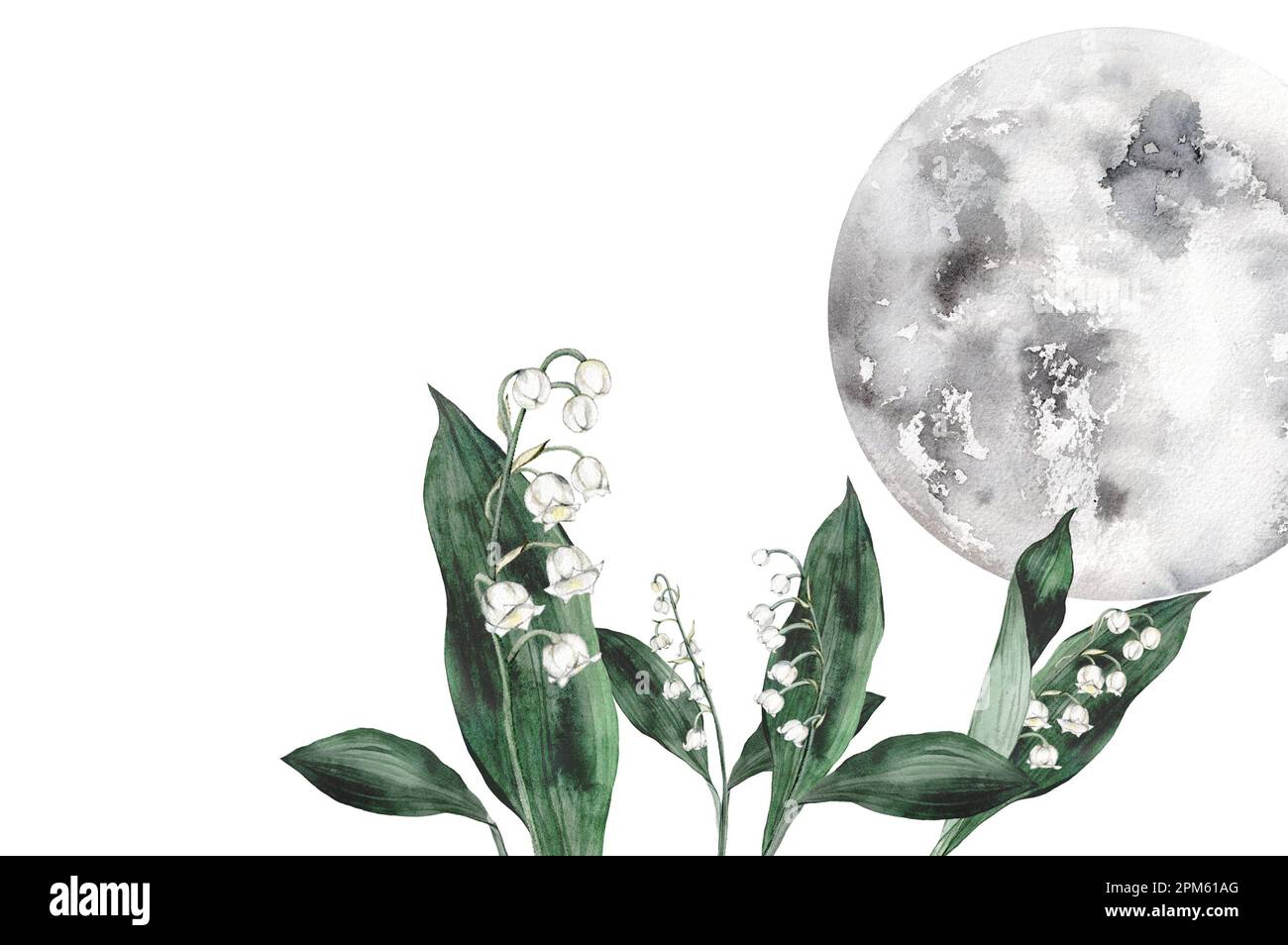 Mystical moon collection and bouquets of delicate spring lilies of the ...