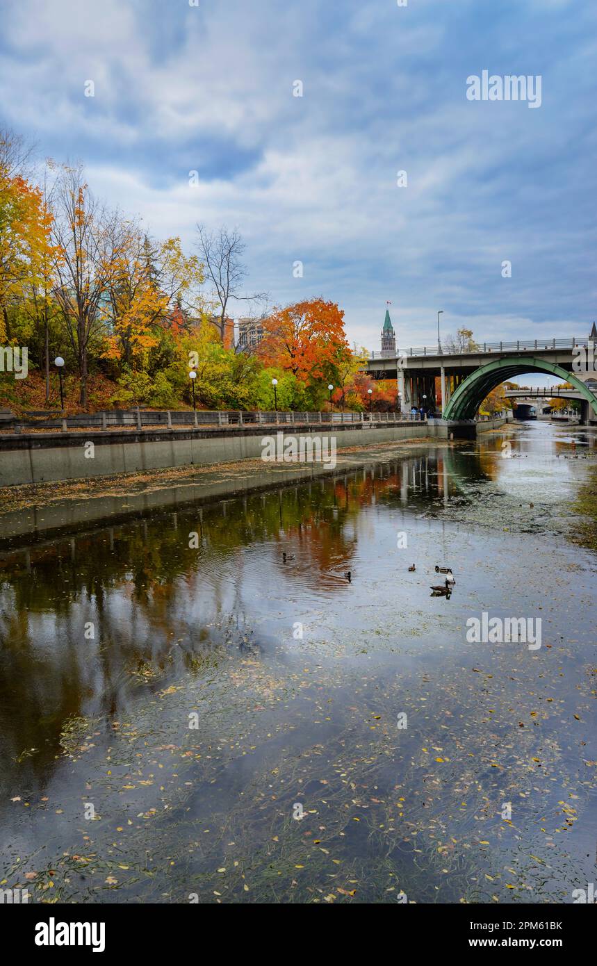 Fall in Ottawa Stock Photo - Alamy
