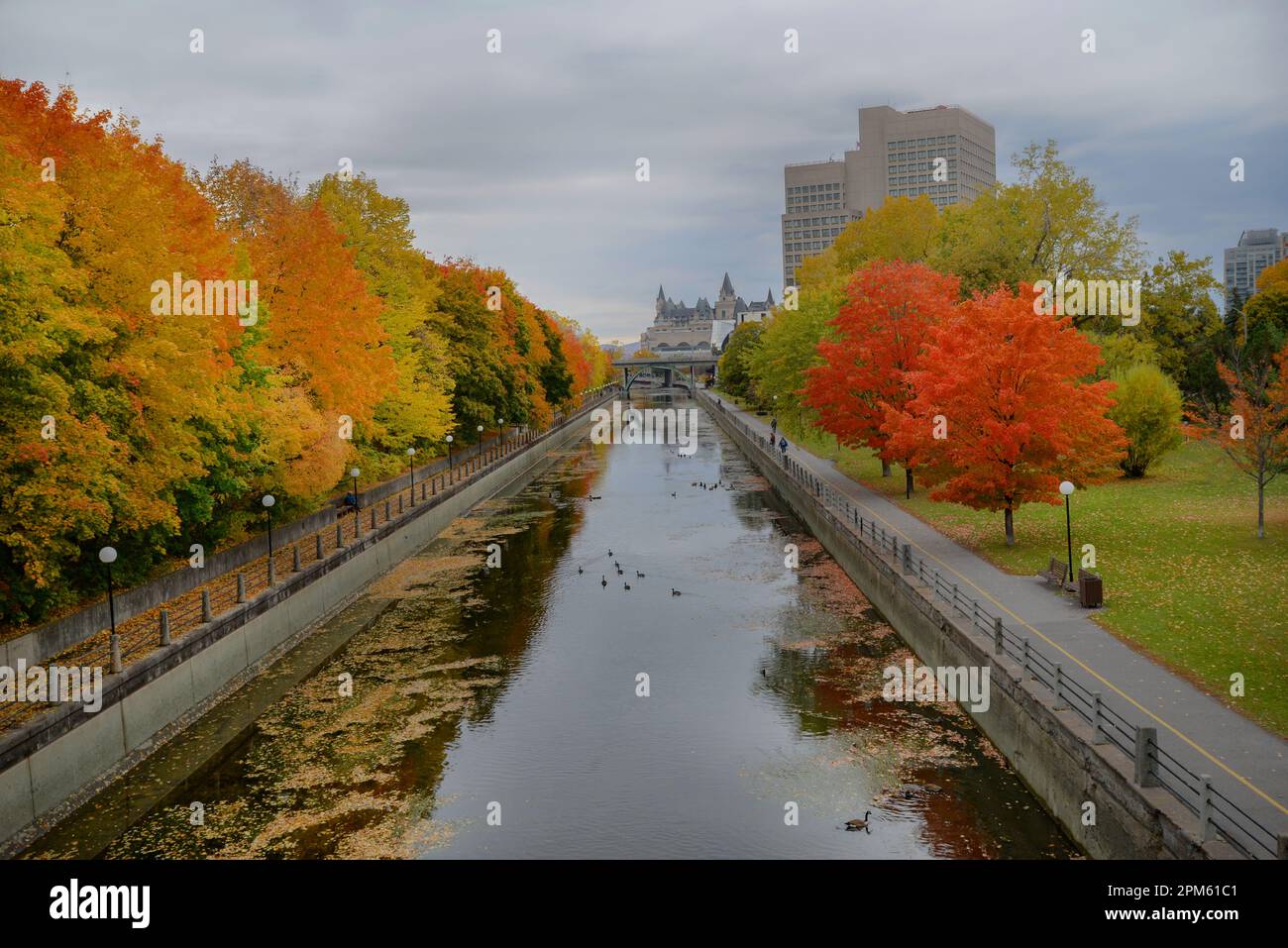Fall in Ottawa Stock Photo - Alamy