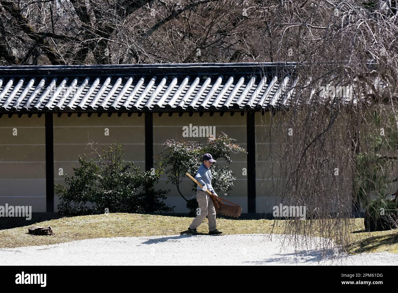 Kyoto, Arashiyama; Daikakuji Temple, former Saga Palace, the head ...