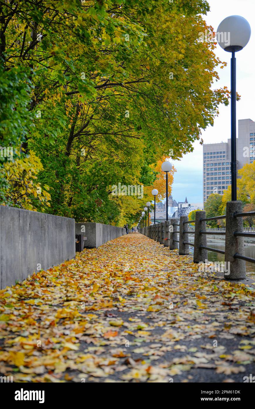 Fall in Ottawa Stock Photo - Alamy