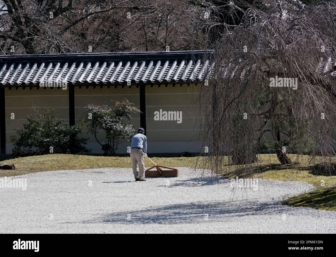 Kyoto, Arashiyama; Daikakuji Temple, former Saga Palace, the head ...