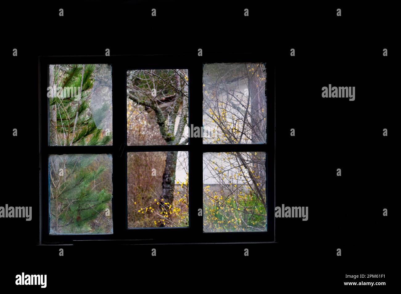 Blooming flowers and trees visible through a shattered window of a dark ...