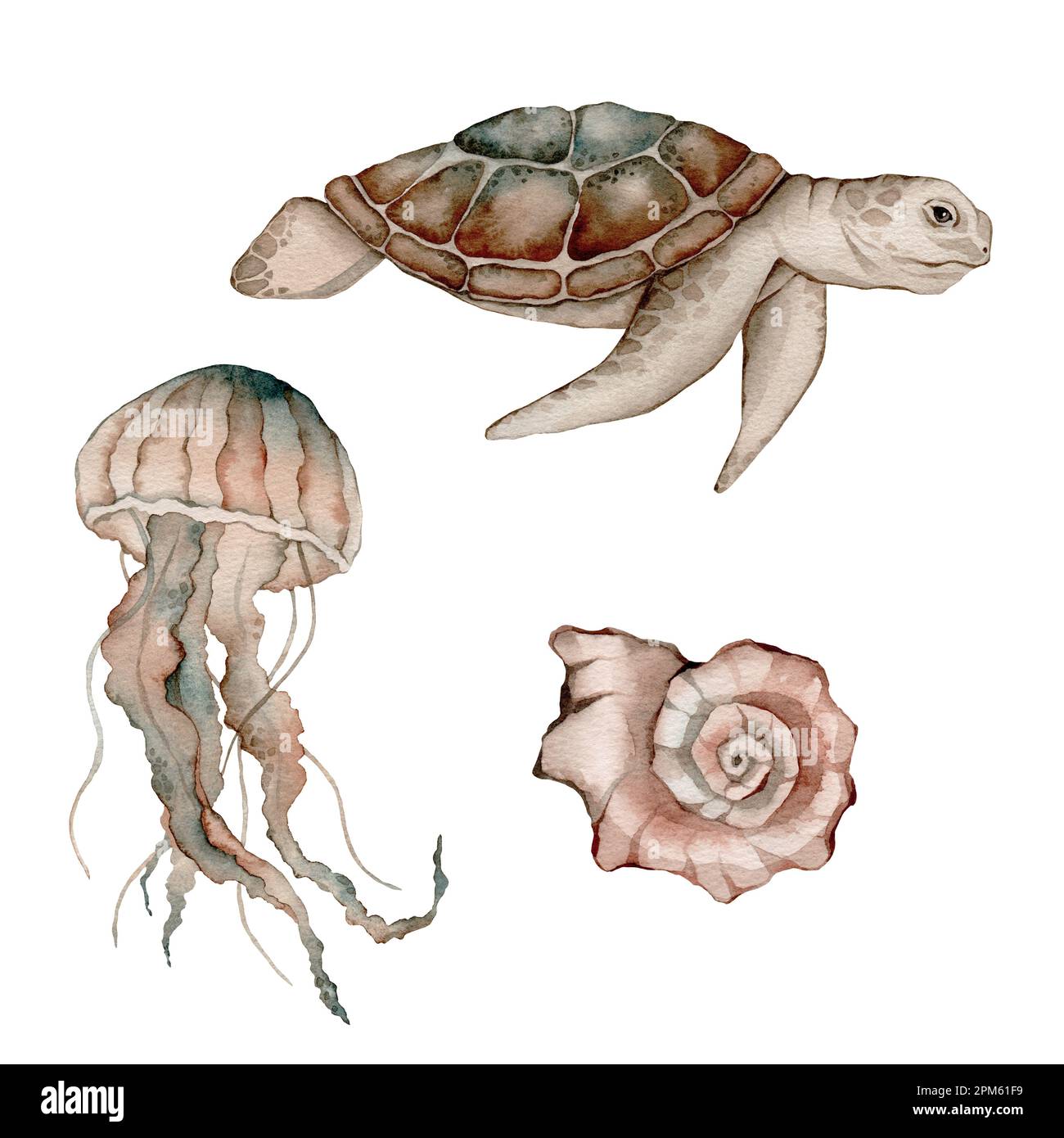 Set of sea animals poster. Blue, greeen, brown watercolor ocean ...