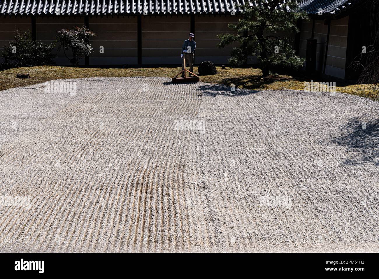 Kyoto, Arashiyama; Daikakuji Temple, former Saga Palace, the head ...