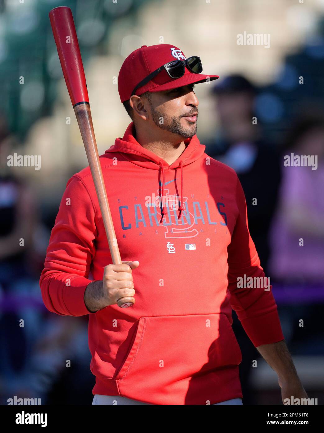 St. Louis Cardinals manager Oliver Marmol (37) warms up before a ...