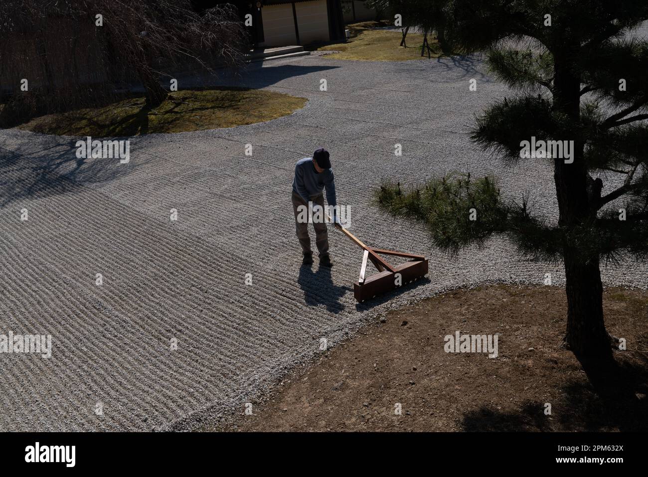 Kyoto, Arashiyama; Daikakuji Temple, former Saga Palace, the head ...