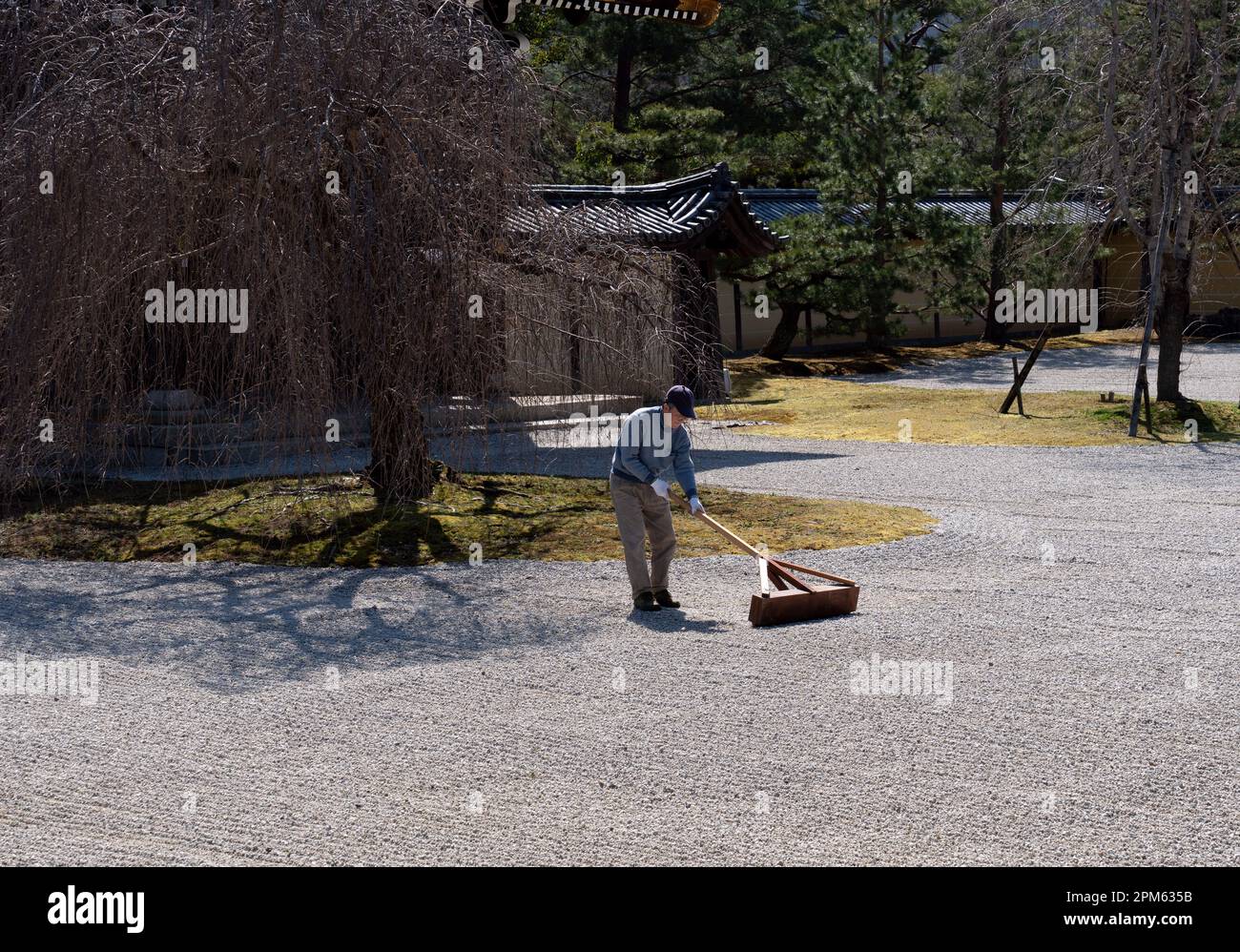 Kyoto, Arashiyama; Daikakuji Temple, former Saga Palace, the head ...