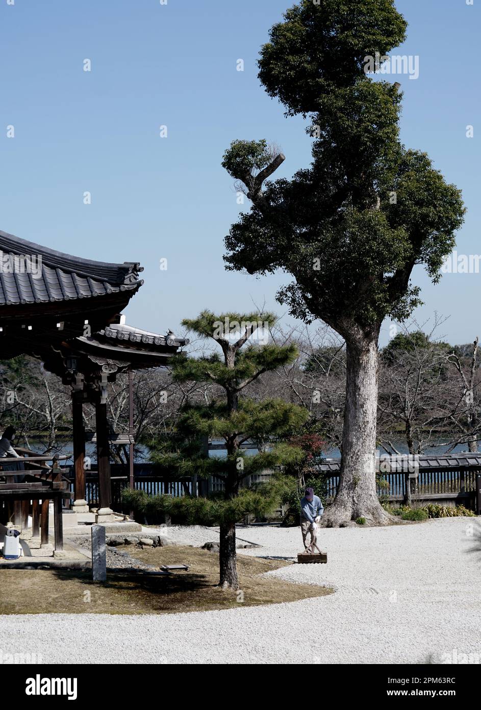Kyoto, Arashiyama; Daikakuji Temple, former Saga Palace, the head ...