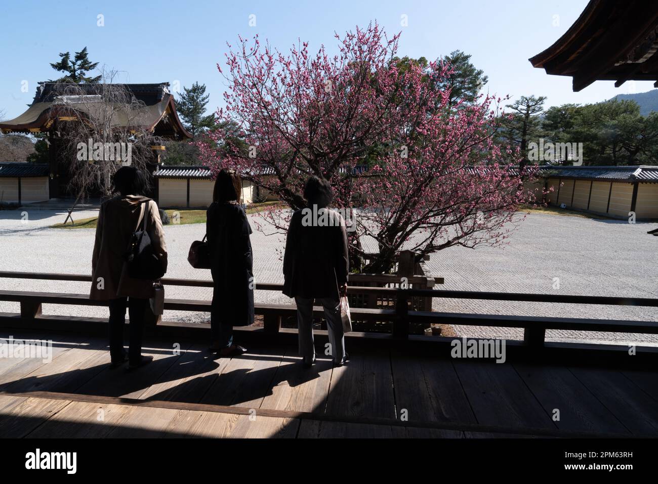 Kyoto, Arashiyama; Daikakuji Temple, former Saga Palace, the head ...