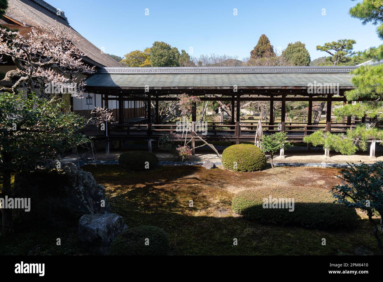 Kyoto, Arashiyama; Daikakuji Temple, former Saga Palace, the head ...