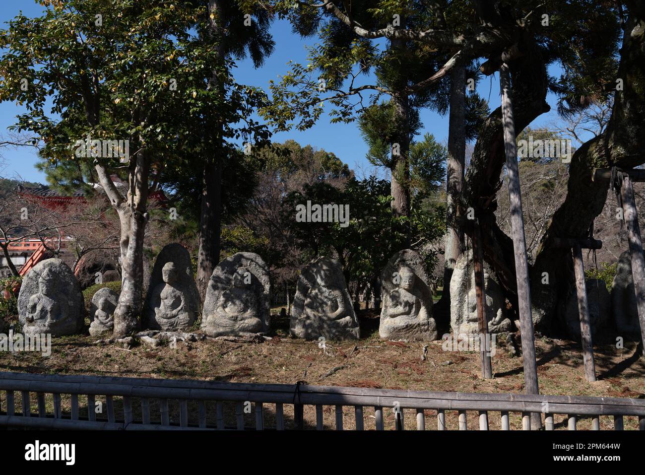 Kyoto, Arashiyama; Daikakuji Temple, former Saga Palace, the head ...