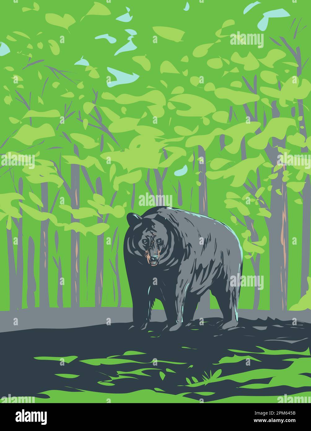 WPA poster art of an American black bear Ursus americanus or baribal ...