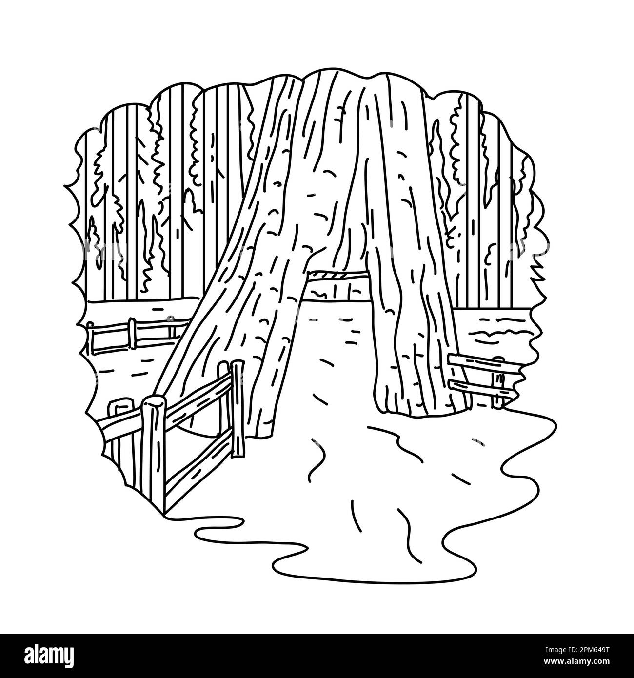 Mono line illustration of California Tunnel Tree in the Mariposa Grove ...