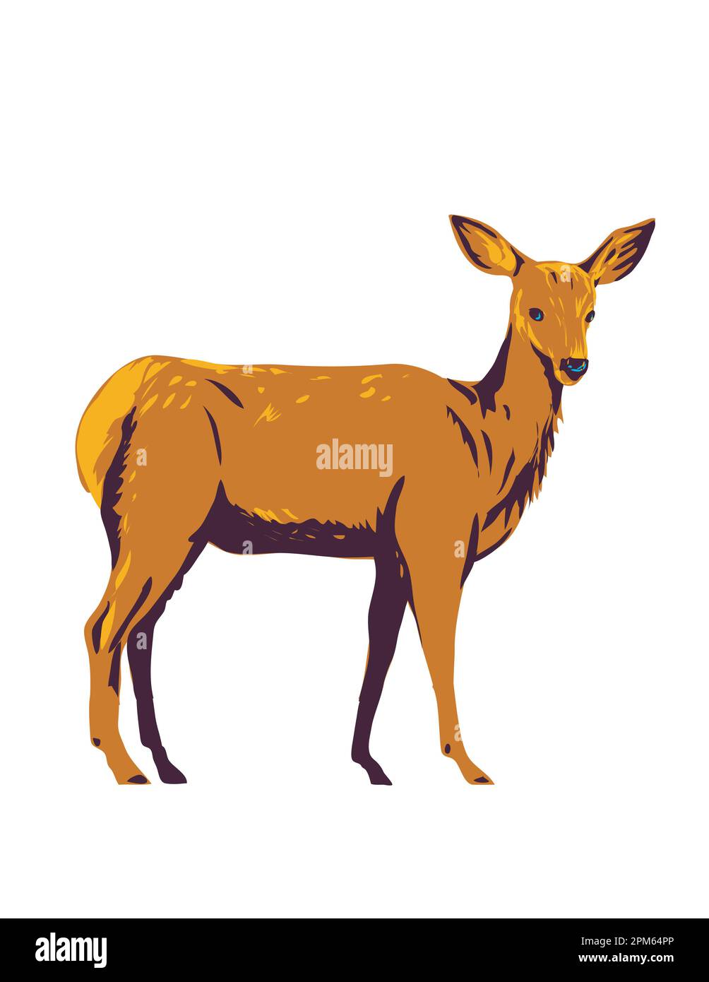 WPA poster art of a mule deer Odocoileus hemionus viewed from side on ...