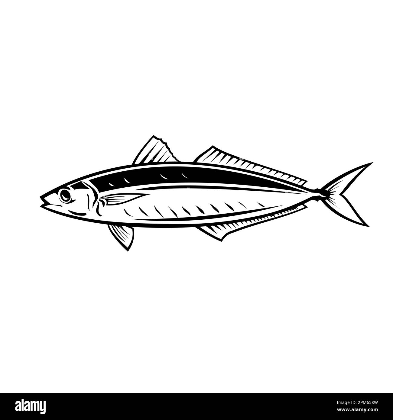 Mascot illustration of round scad fish or mackerel scad viewed from ...