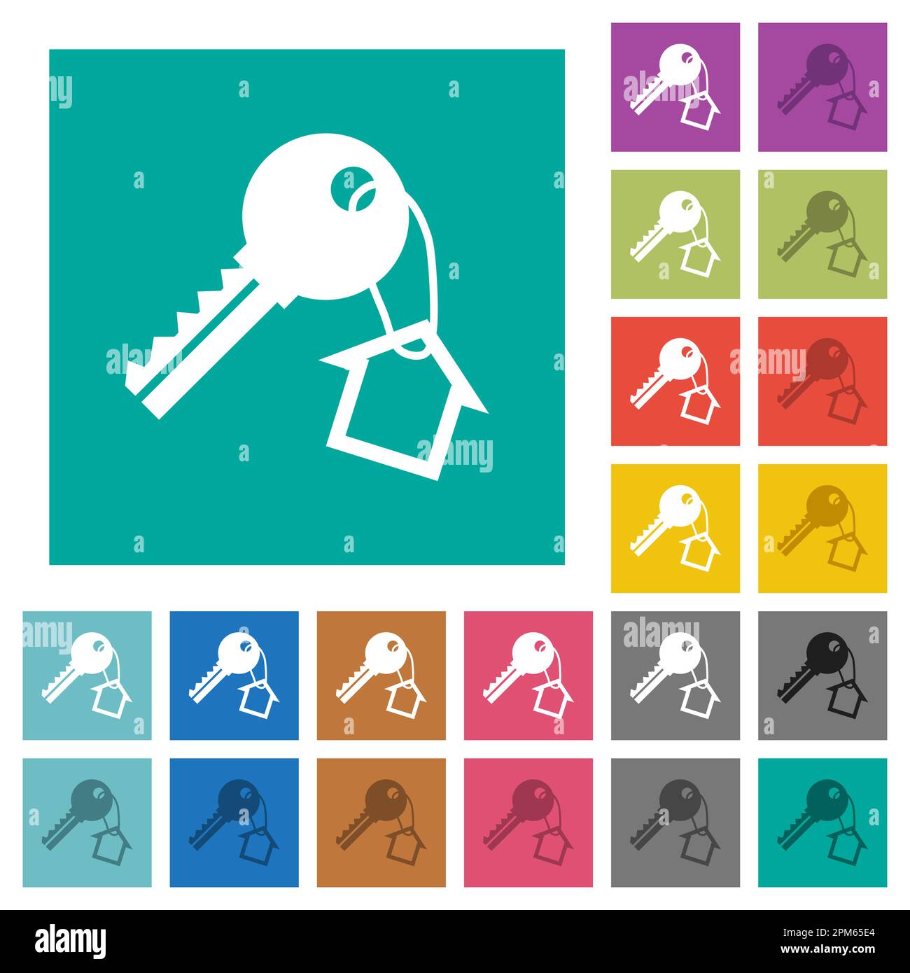 Key and small house on the key ring multi colored flat icons on plain ...