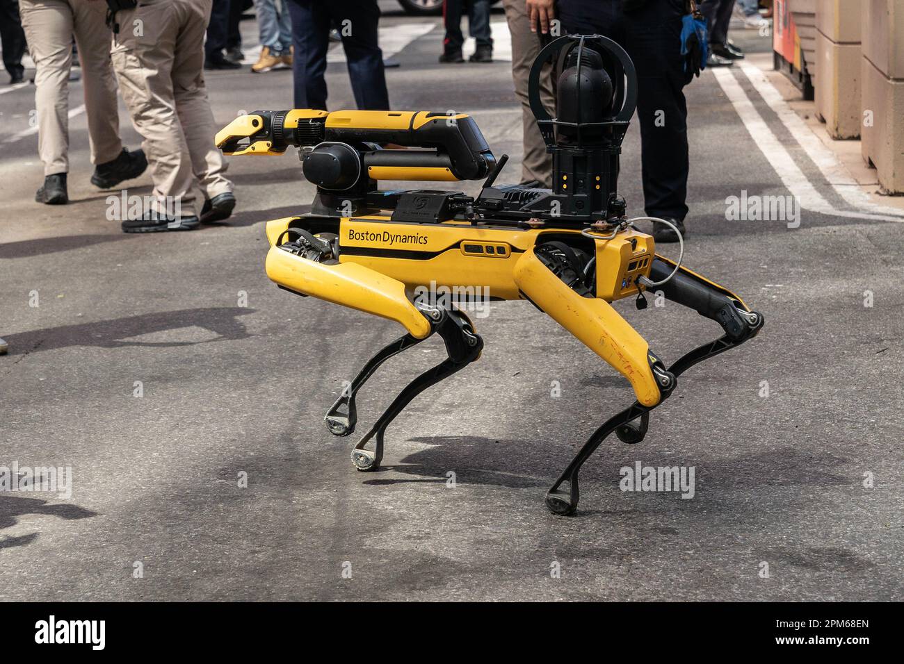New York, New York, USA. 11th Apr, 2023. Robotic device coined Digidog ...
