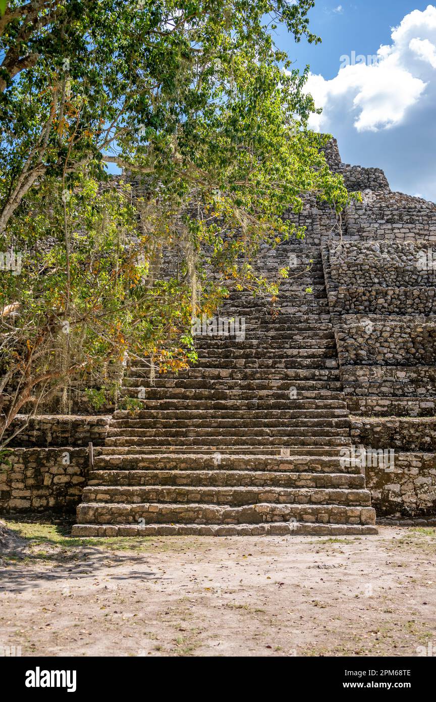 Ancient mayan ruins of Chacchoben in the jungle near the cruise ...
