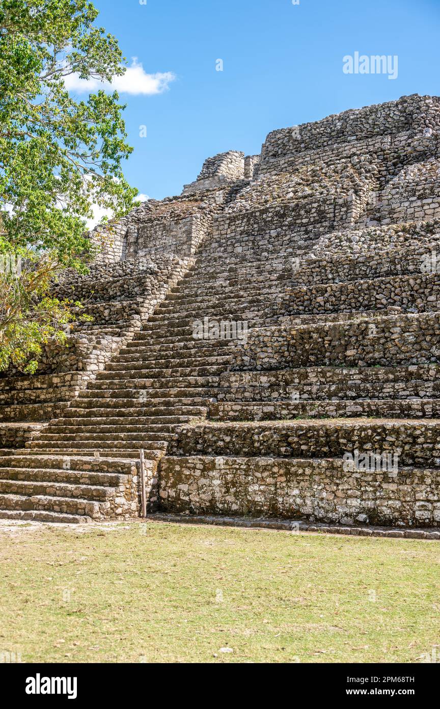 Ancient mayan ruins of Chacchoben in the jungle near the cruise ...