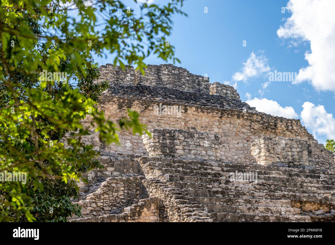 Ancient mayan ruins of Chacchoben in the jungle near the cruise ...