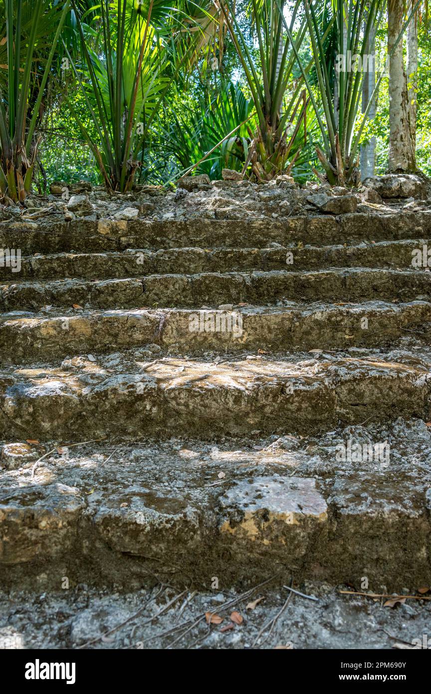 Ancient mayan ruins of Chacchoben in the jungle near the cruise ...