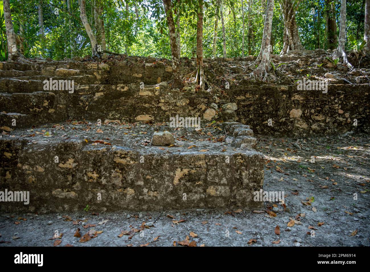 Ancient mayan ruins of Chacchoben in the jungle near the cruise ...