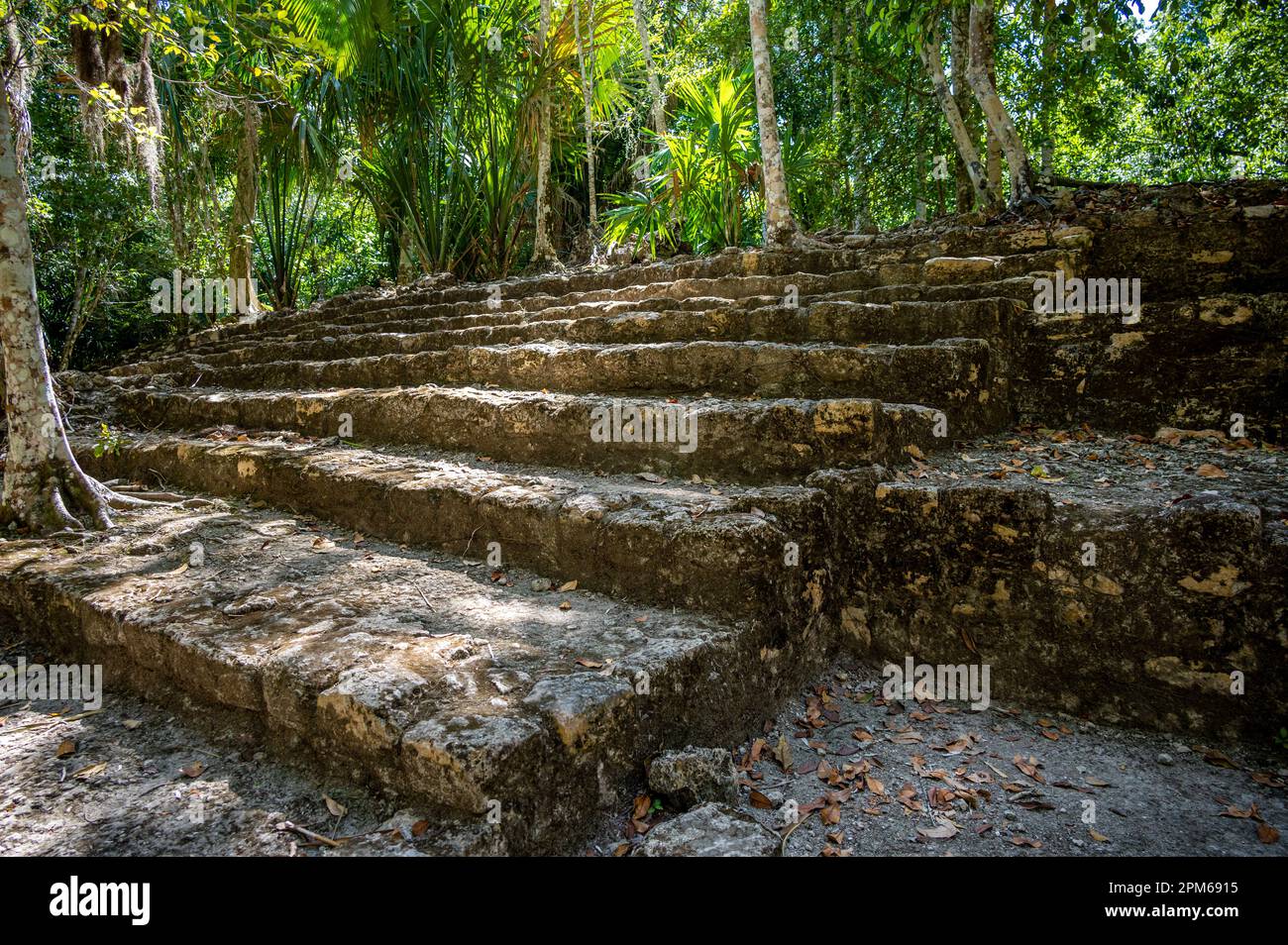 Ancient mayan ruins of Chacchoben in the jungle near the cruise ...