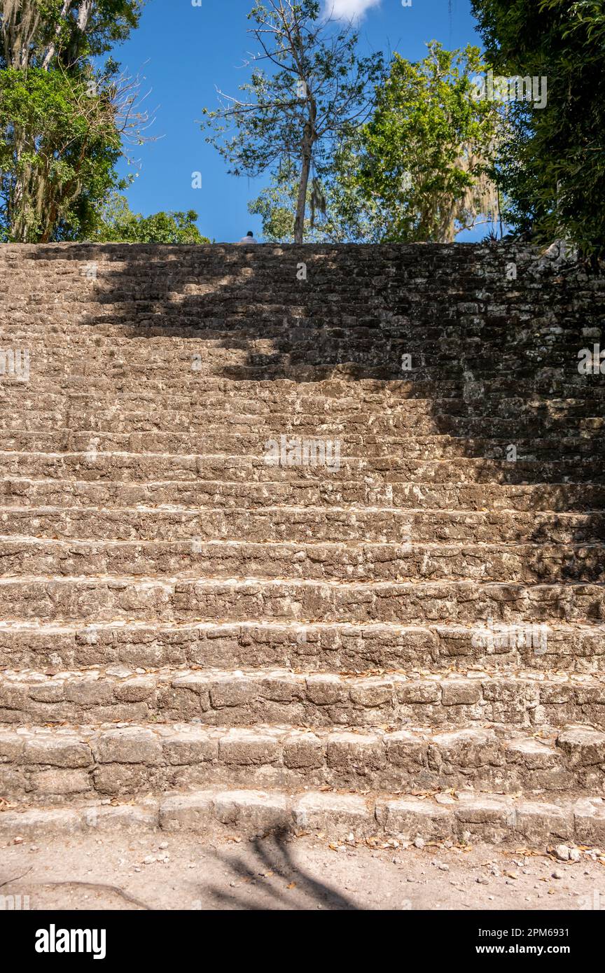 Ancient mayan ruins of Chacchoben in the jungle near the cruise ...