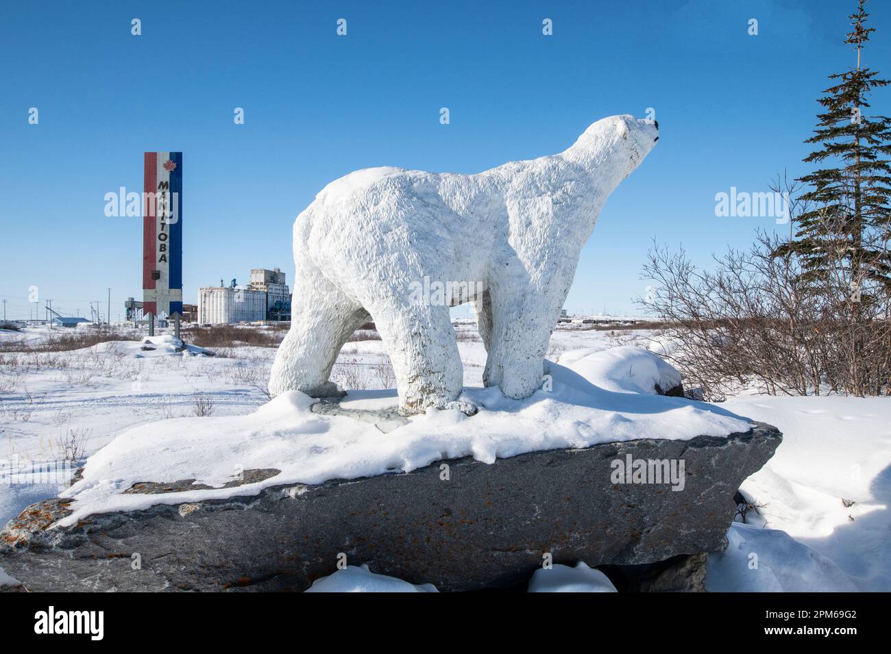 Polar bear statue with Manitoba sign in the background in downtown ...