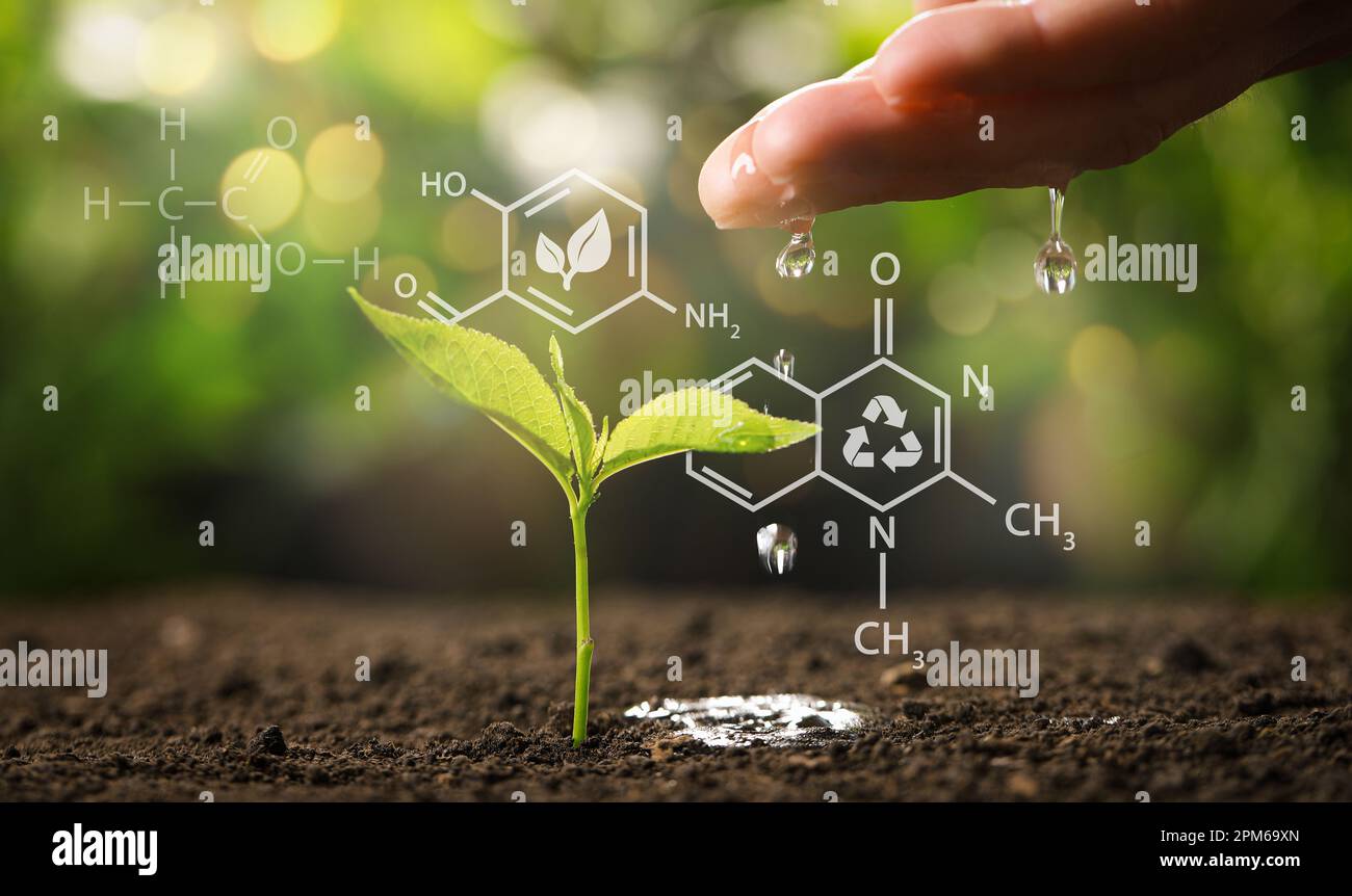 Illustration of chemical formulas and woman pouring water on young ...