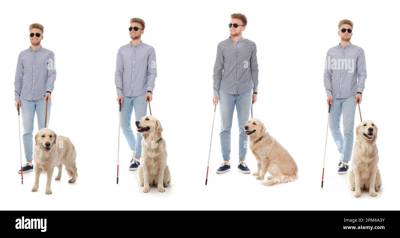 Blind man with long cane and guide dog on white background. Banner ...