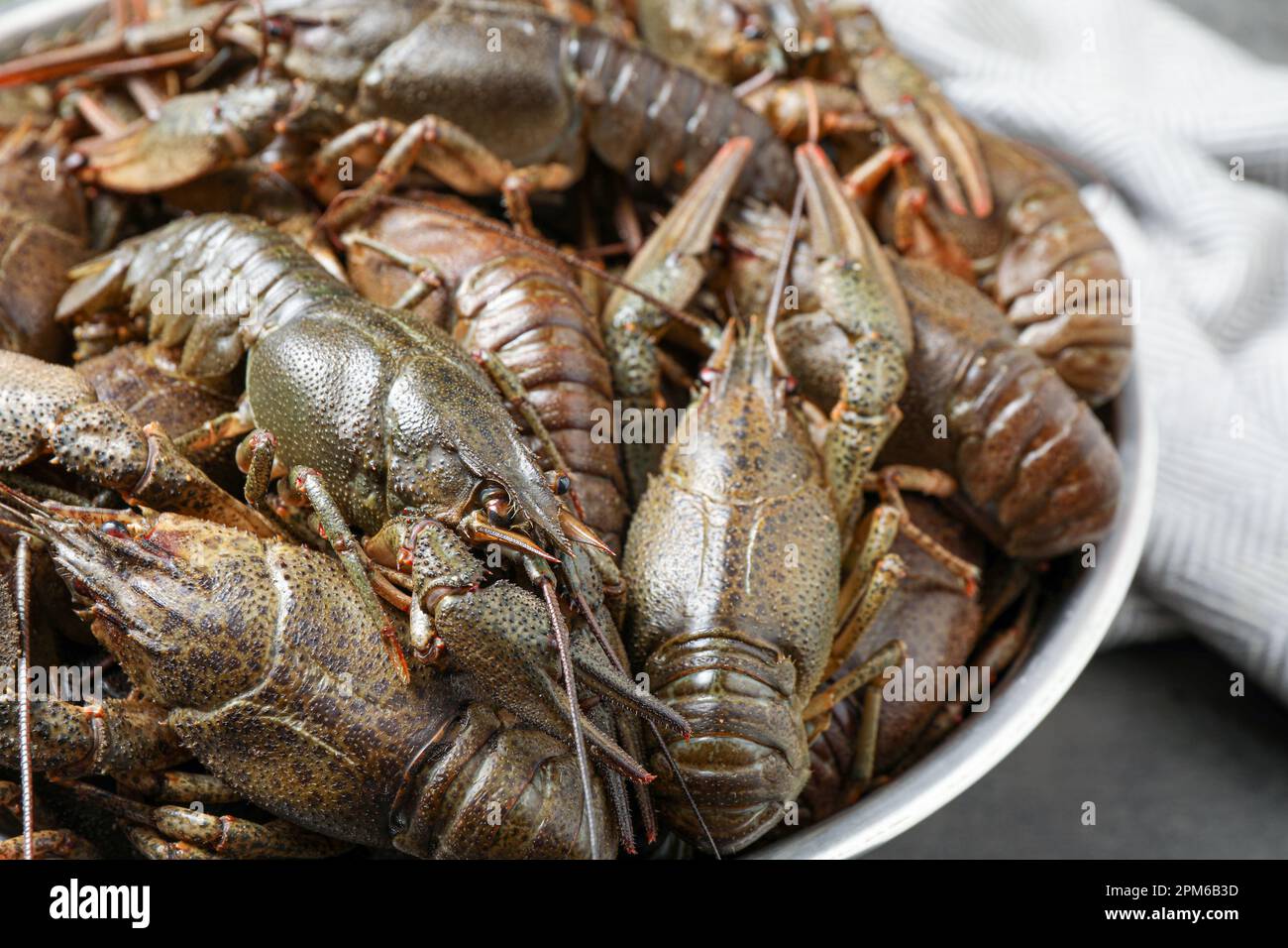 Fresh raw crayfishes in bowl, closeup. Healthy seafood Stock Photo - Alamy