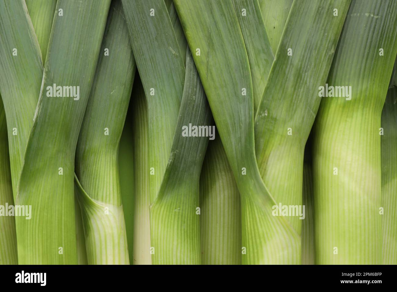 Fresh raw leeks as background, top view Stock Photo - Alamy