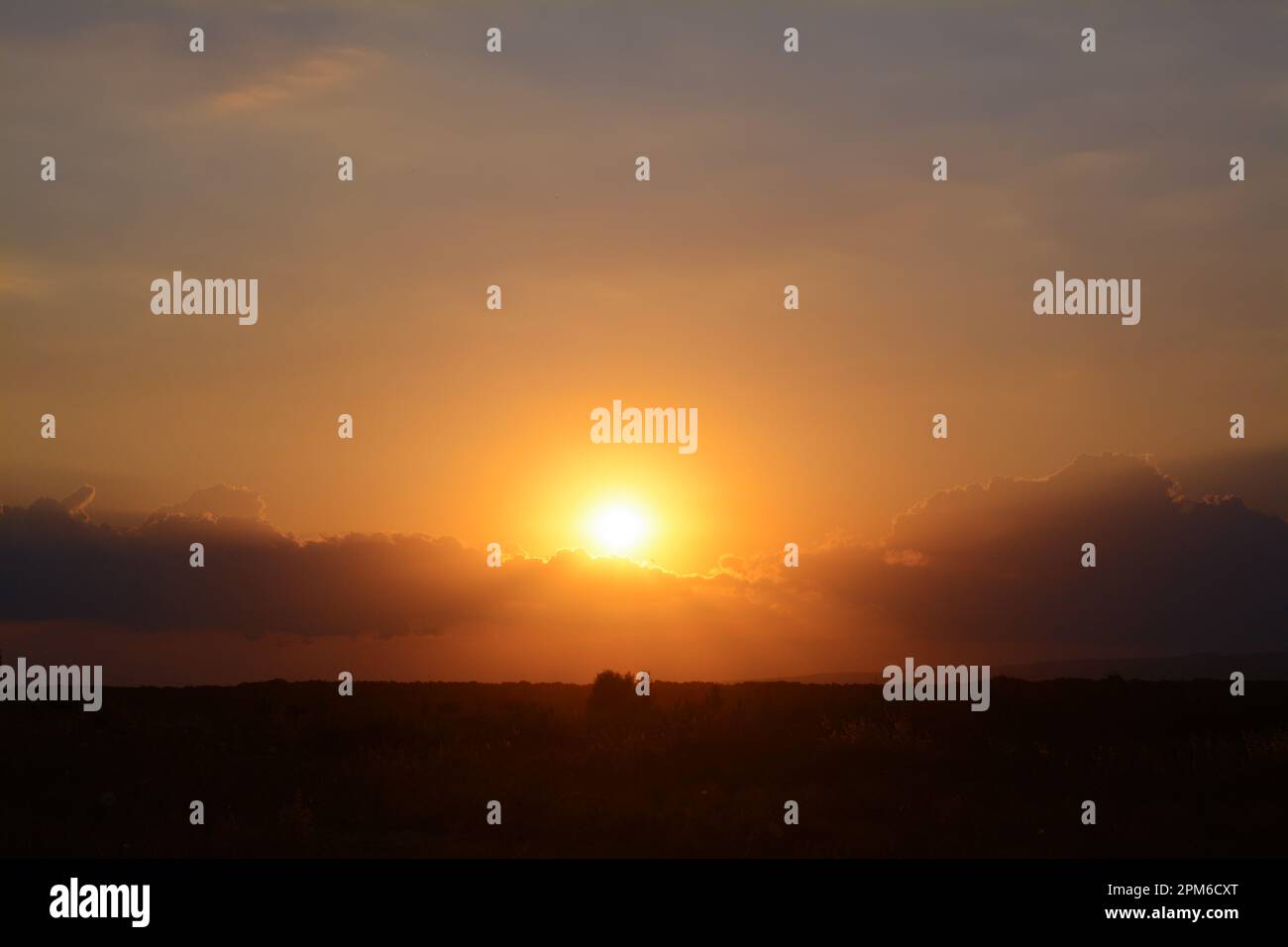 Picturesque view of beautiful field at sunset Stock Photo - Alamy