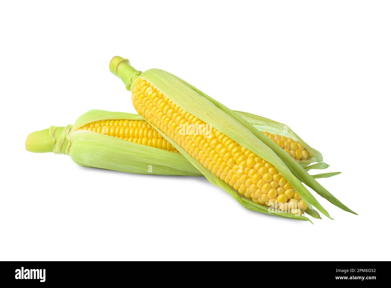 Tasty fresh corn cobs hi-res stock photography and images - Alamy