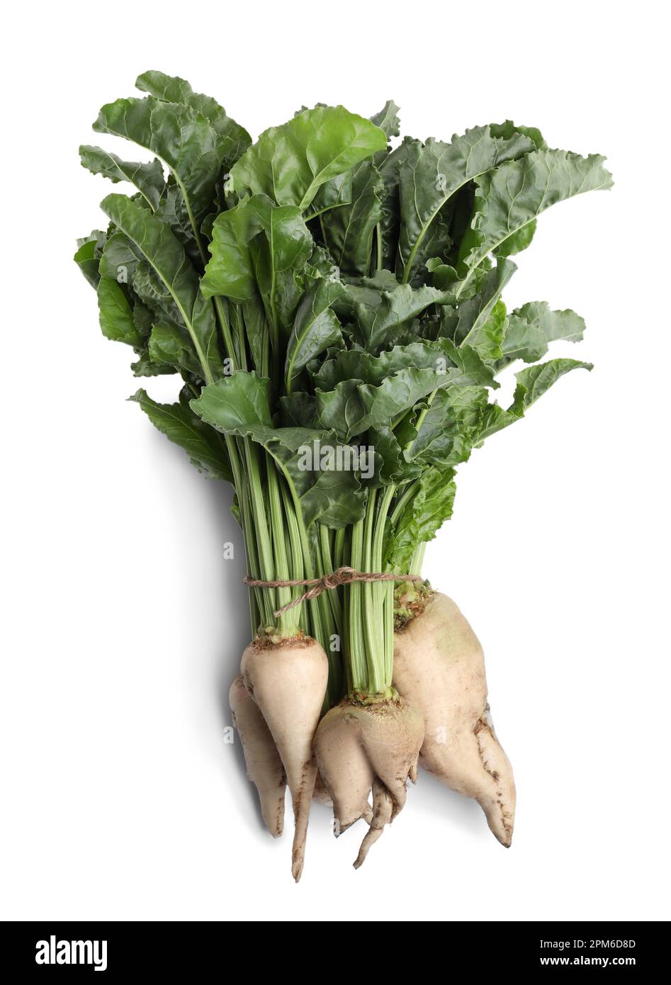 Sugar beets with leaves on white background Stock Photo - Alamy