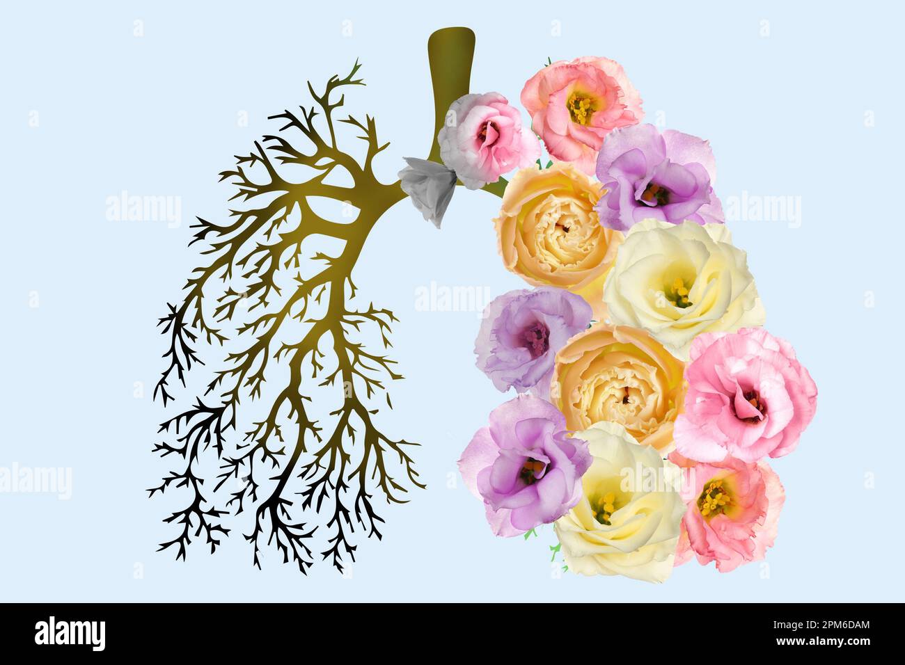 Illustration of human lungs - one part with image of dry tree branches ...