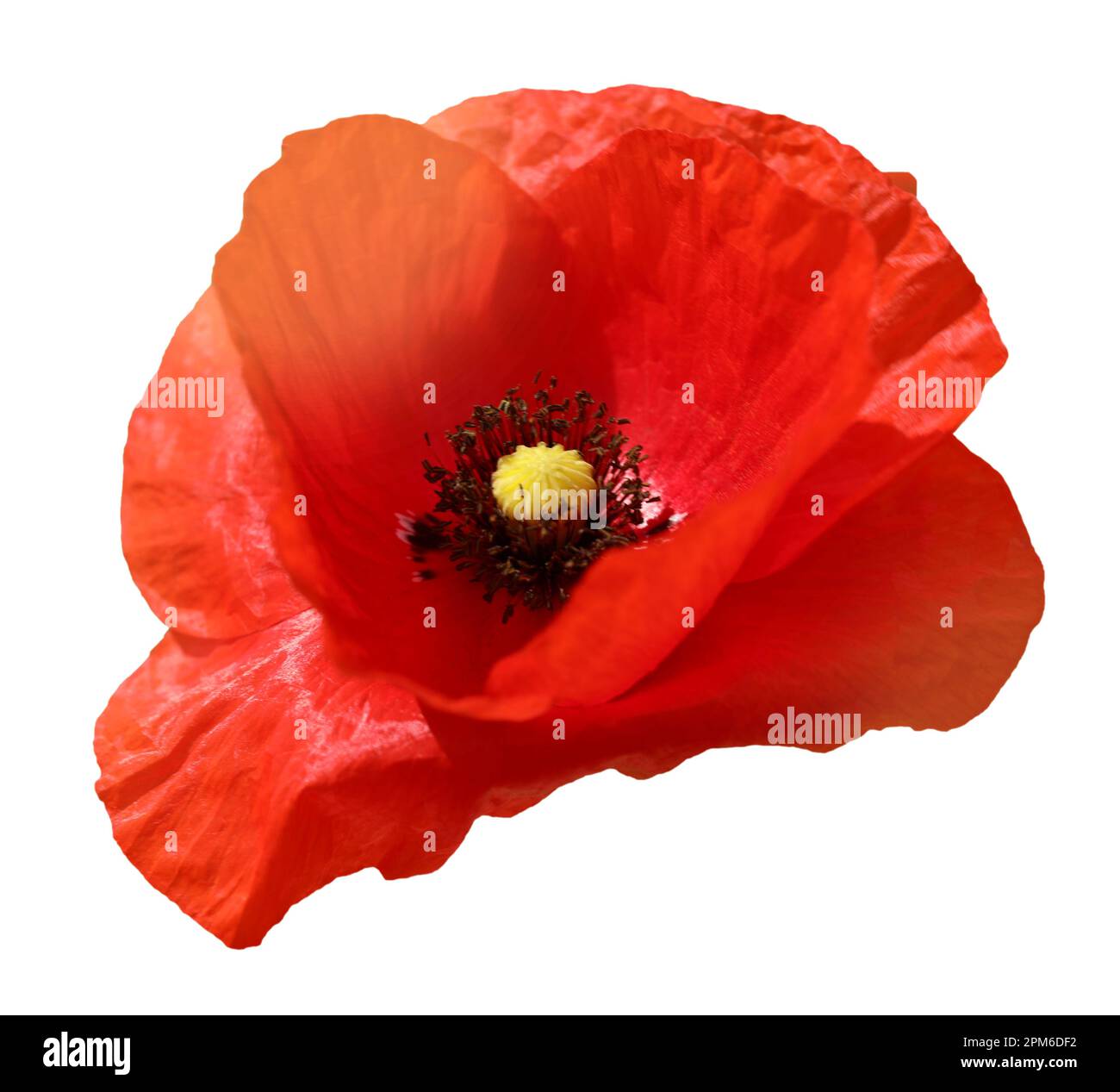 Beautiful countryside landscape on summer Cut Out Stock Images ...