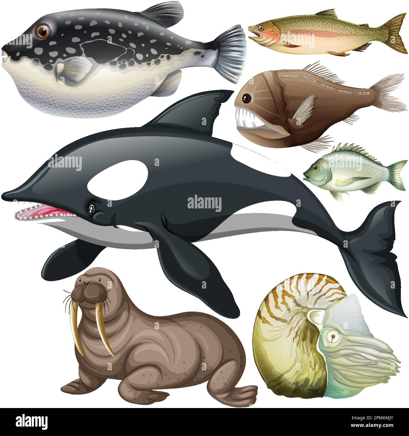 Underwater Creature Vector Set illustration Stock Vector Image & Art ...