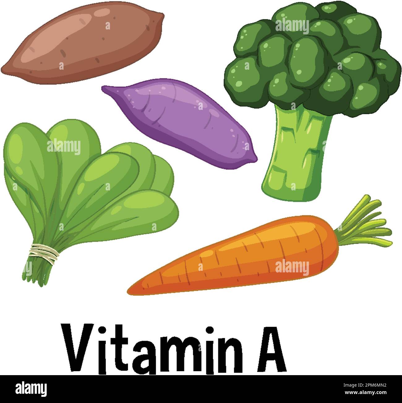 Colorful Vegetable Collection with Rich Vitamin A illustration Stock ...