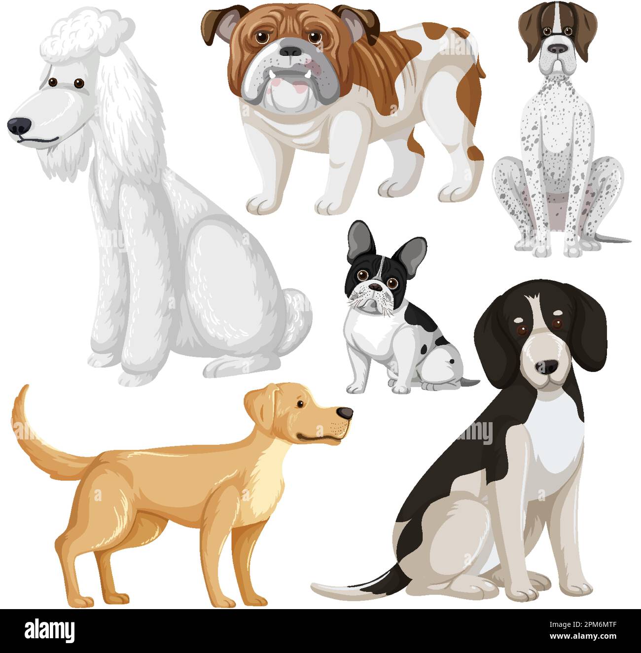 Set of dog dog breeds cartoon illustration Stock Vector Image & Art - Alamy