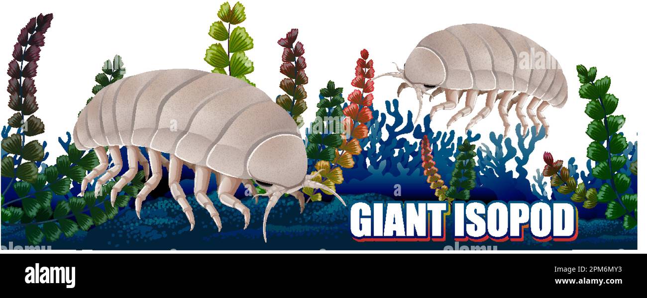 Giant Isopod Deep Sea Creature illustration Stock Vector Image & Art ...