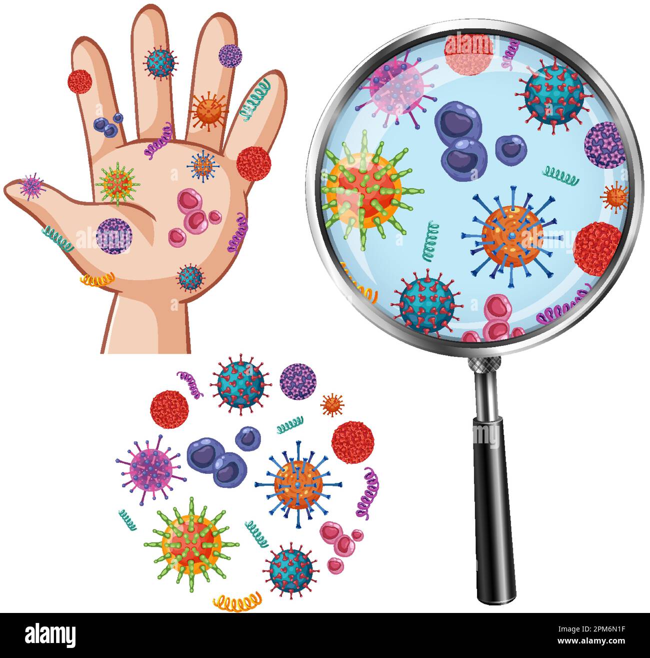 Germ on human hand illustration Stock Vector Image & Art - Alamy